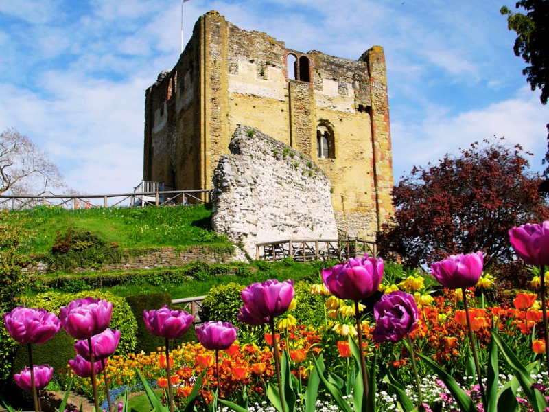 5 things to do on day day trip to Guildford - Chelsea Florals Blog ...